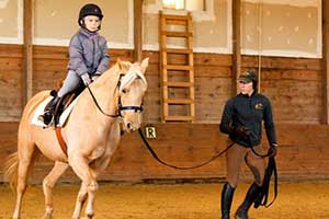Client Spotlight: By Chance Farm & PROFormance Horse | MD Attorney